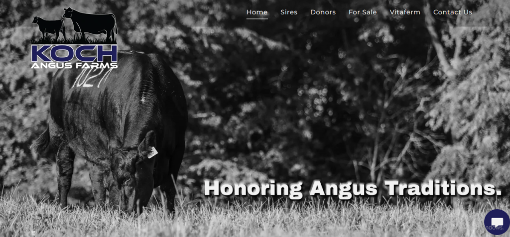 Koch Angus Farms - National Domains, LLC