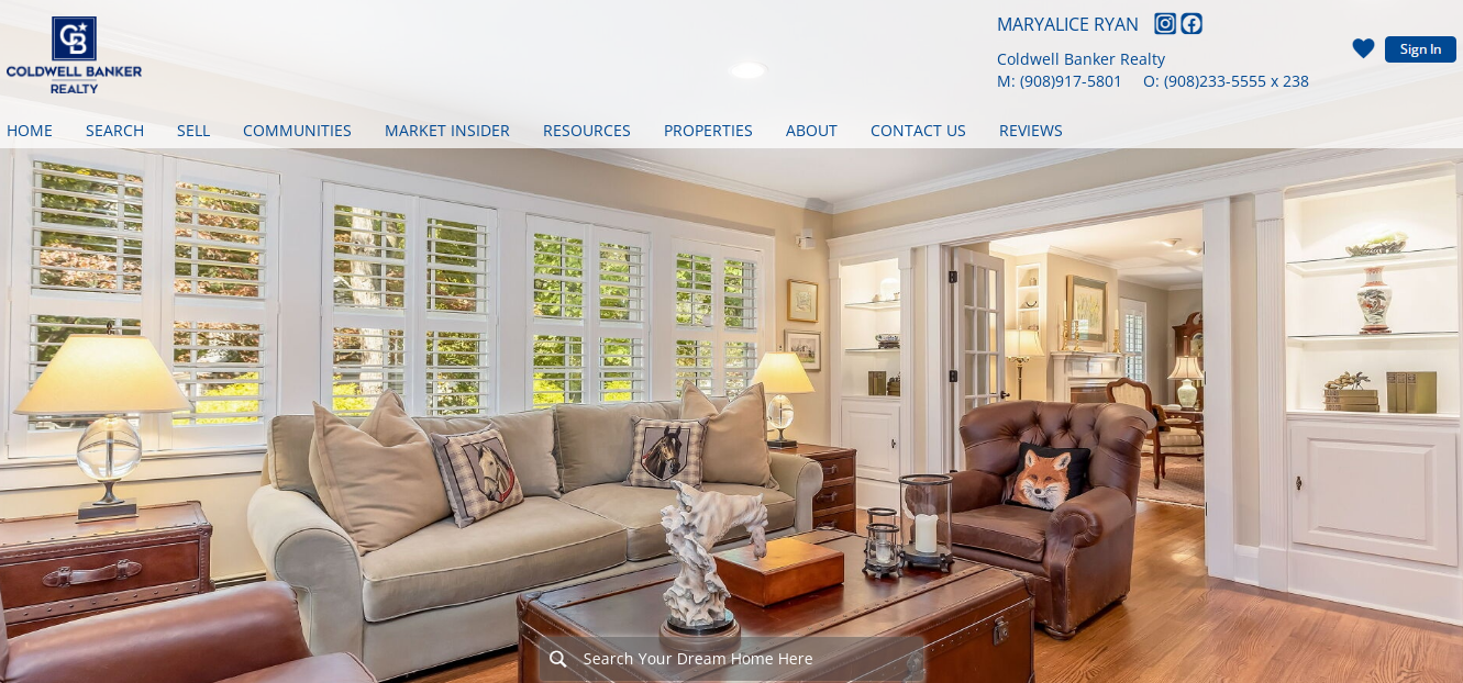 OFFICES OF MARYALICE RYAN - National Domains, LLC