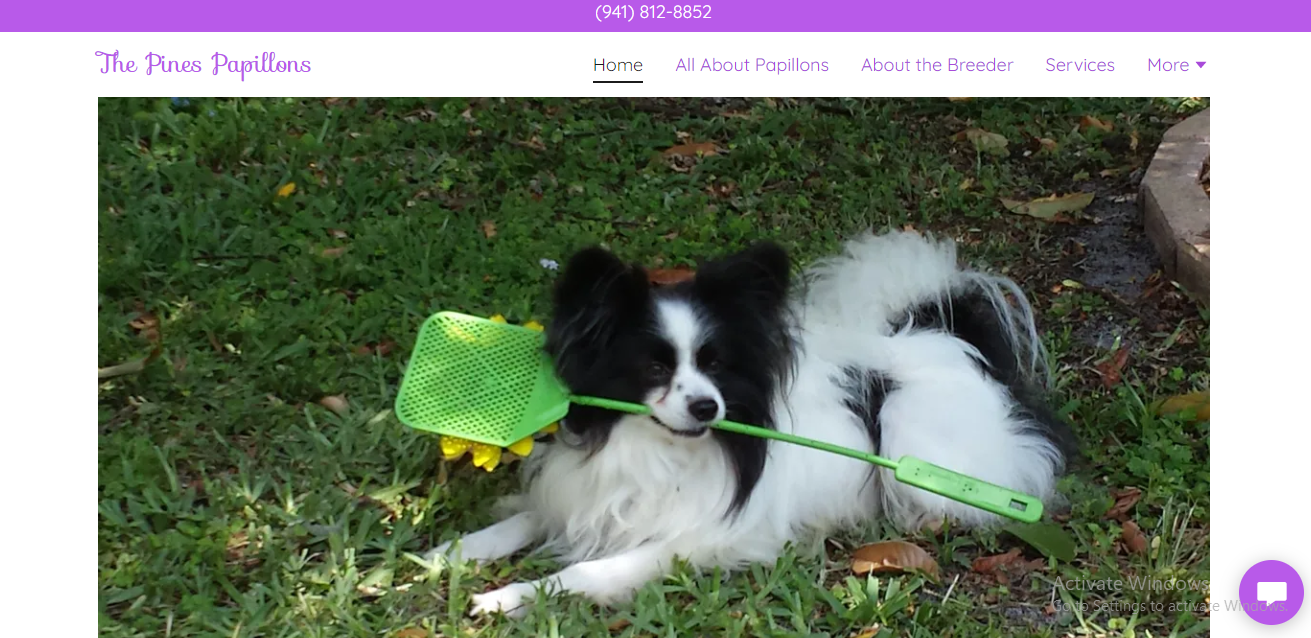 The Pines Papillons - National Domains, LLC